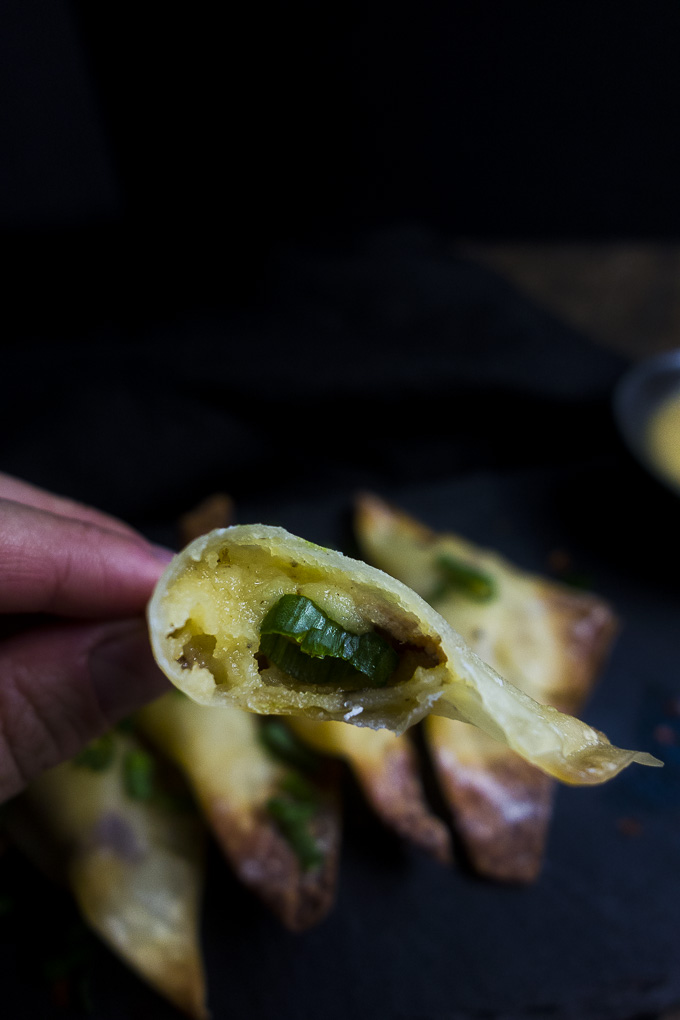 Mashed Potato Filled Wontons - Went Here 8 This