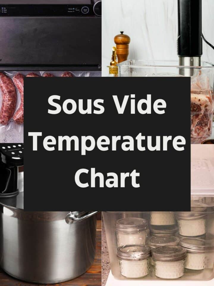 The 8 Best Sous Vide Machines - Went Here 8 This